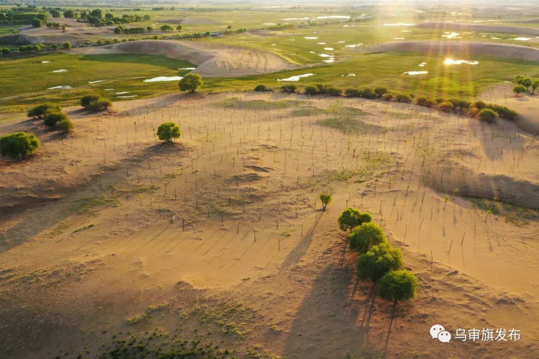 40%国土面积是沙区，鄂尔多斯如何获得联合国生物多样性魅力城市奖？-资讯-内蒙古新闻网